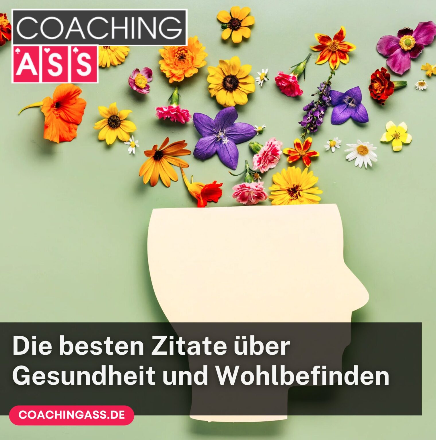 Die inspirierendsten Zitate über Gesundheit • Wohlbefinden