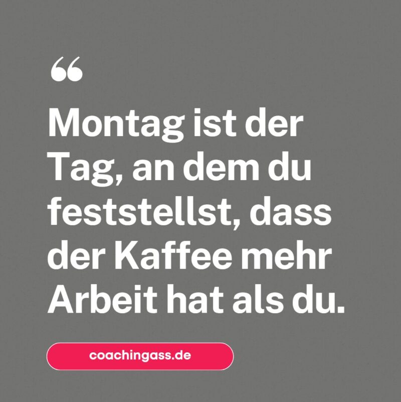 Der Montag Blues Vergessen Mit Diesen Lustigen Bildern Starten Sie Perfekt In Die Wochefeed
